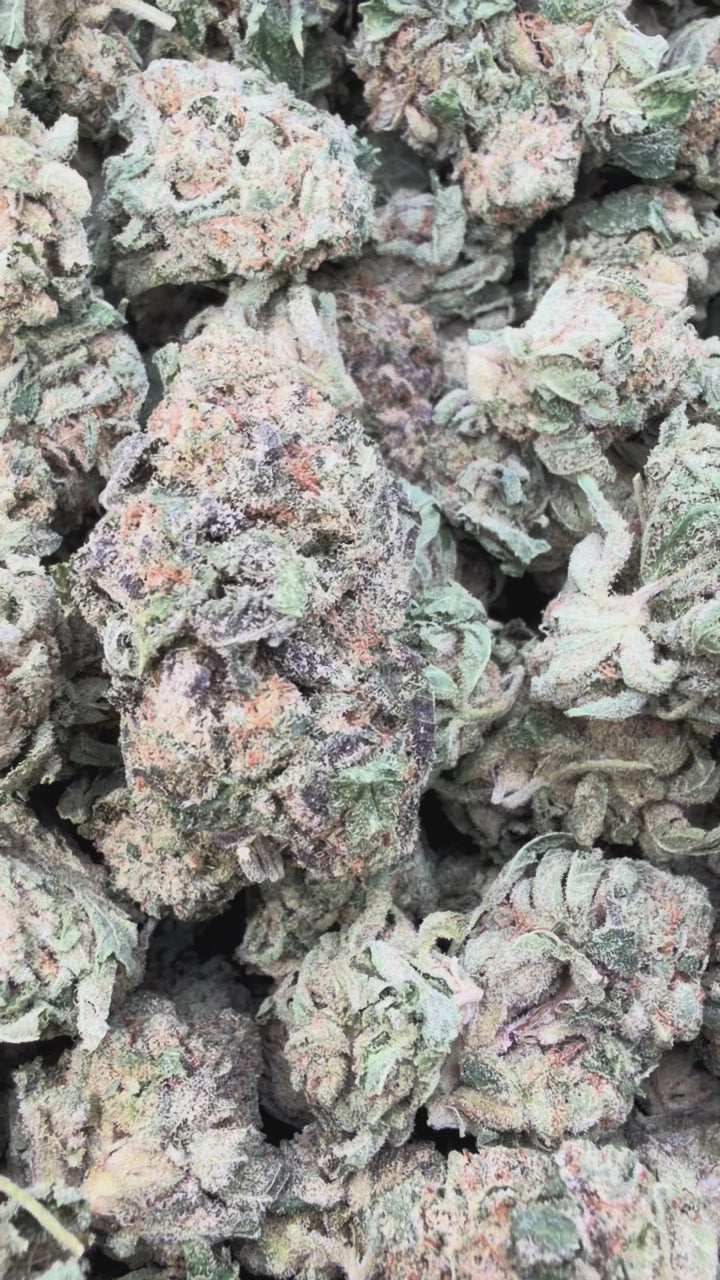 Sherbet & Haze - Bulk - Sativa – ShopZaza