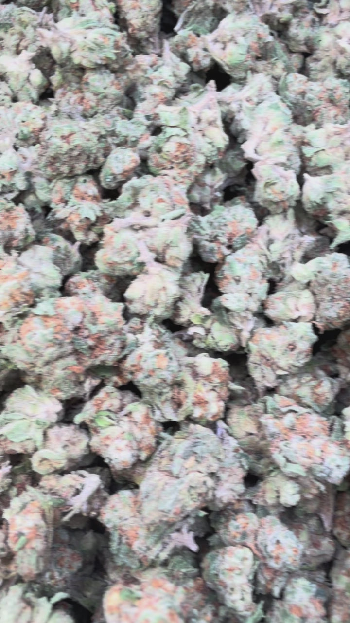 Fruity Pebbles OG Littles - Bulk Littles - Indica – ShopZaza