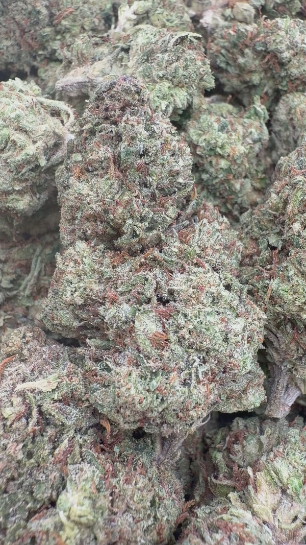 Oakland Runtz - Bulk - Hybrid – ShopZaza