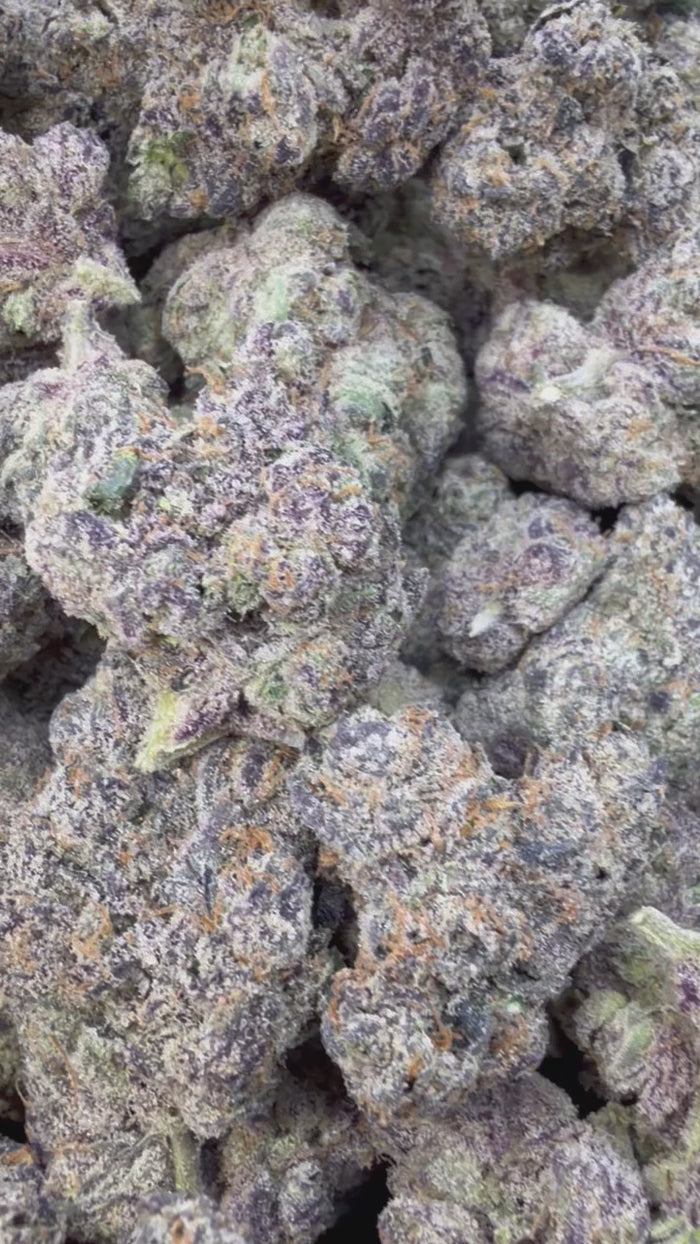 Indoor Exotic Zkittles x Mochi - Bulk - Hybrid – ShopZaza